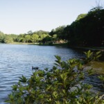 Avaré: onde fica, melhores passeios, hospedagem e dicas