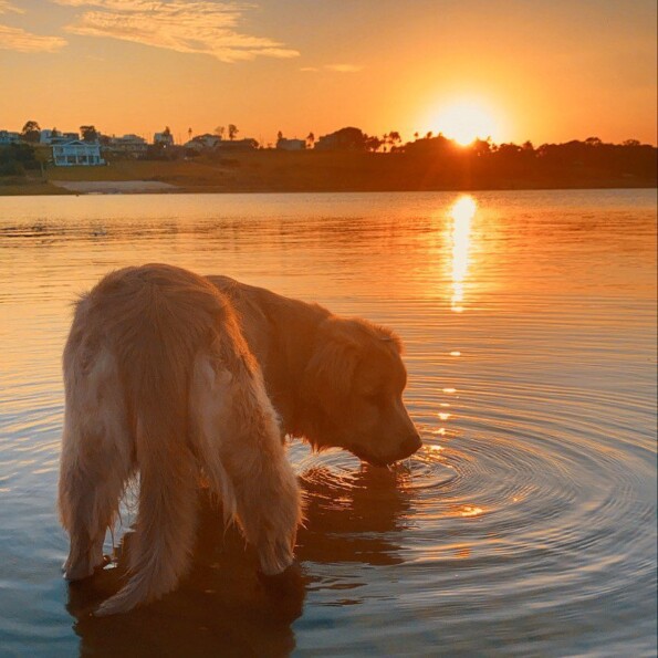 Avaré: onde fica, melhores passeios, hospedagem e dicas