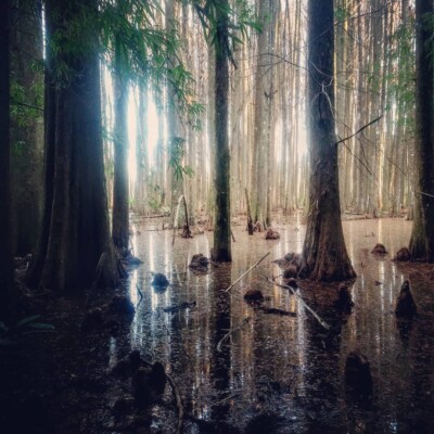 Avaré: onde fica, melhores passeios, hospedagem e dicas