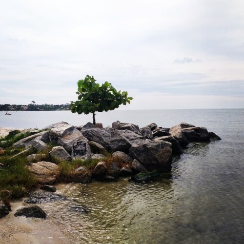 Iguaba Grande: como chegar, dicas, principais atrações e hospedagens