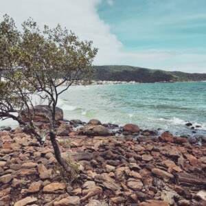 Praia de Mariscal (SC): os melhores passeios e pousadas