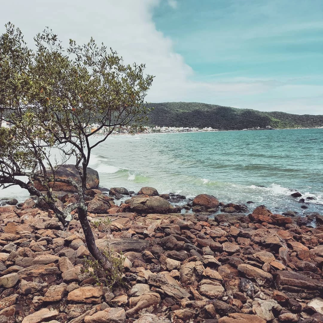 Praia de Mariscal (SC): os melhores passeios e pousadas