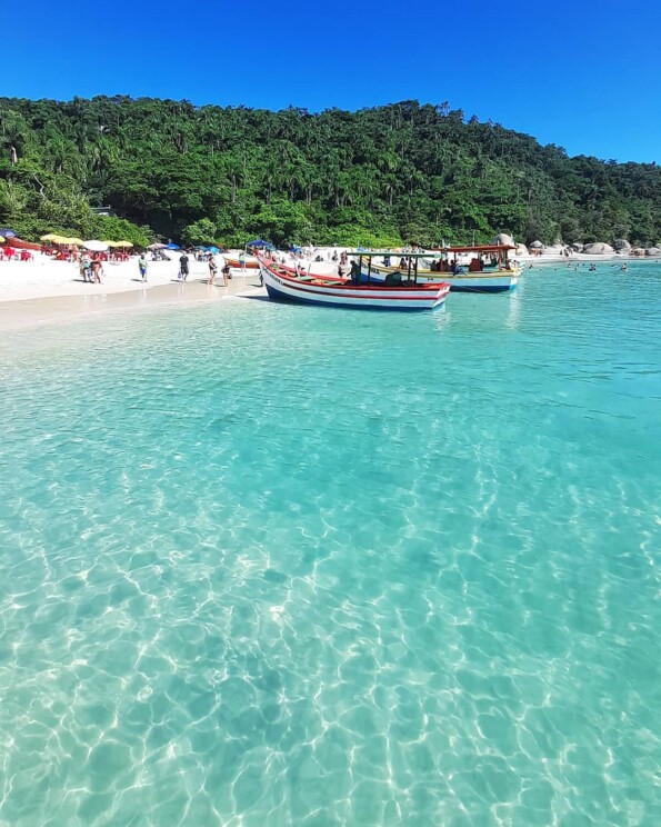 Praia do Campeche: o que fazer, gastronomia e onde se hospedar