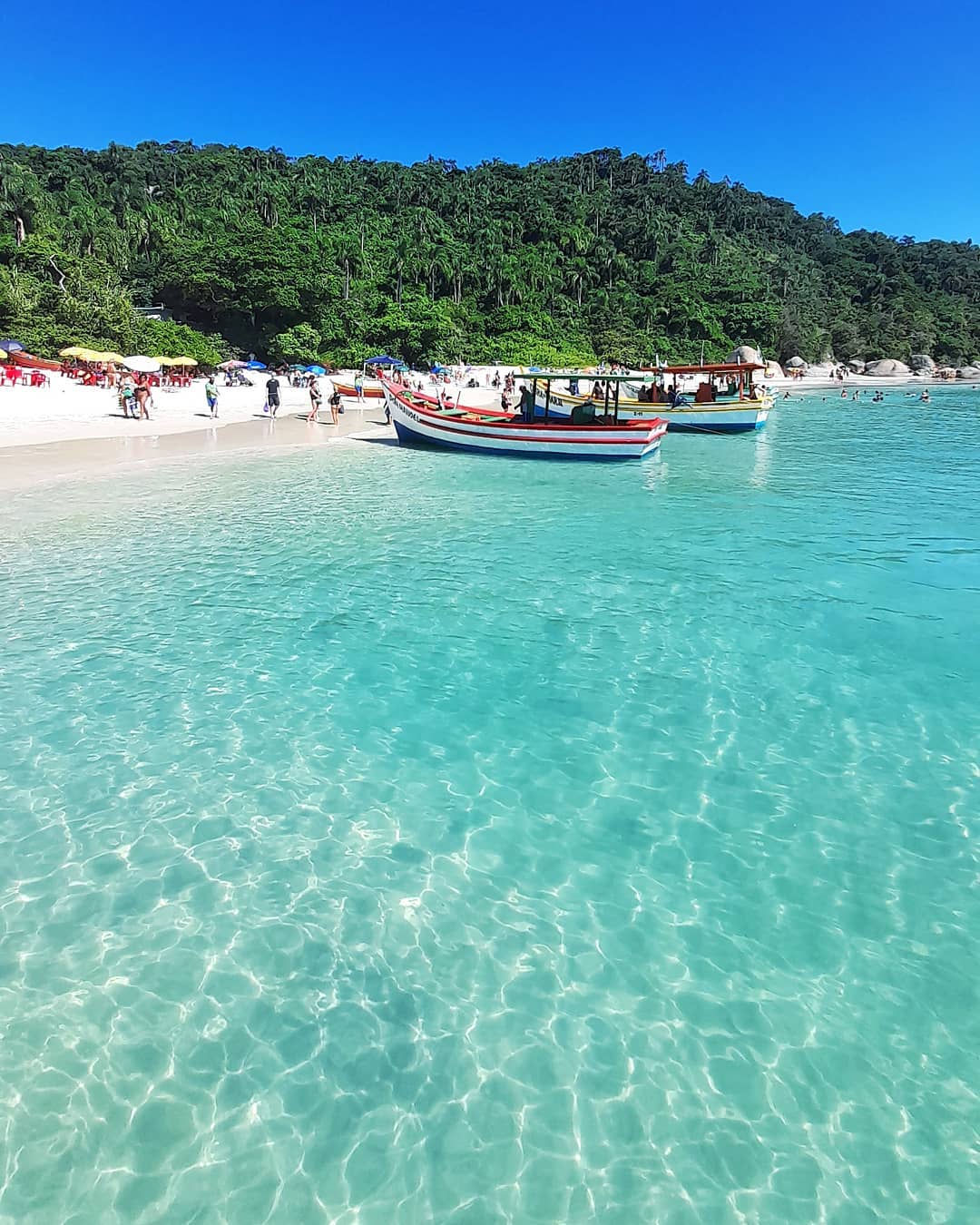Praia do Campeche: o que fazer, gastronomia e onde se hospedar