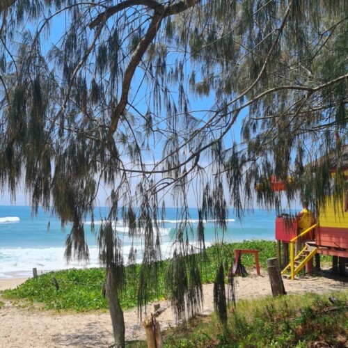 Praia do Moçambique: o que fazer, como chegar e fotos incríveis