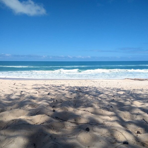 Praia do Moçambique: o que fazer, como chegar e fotos incríveis