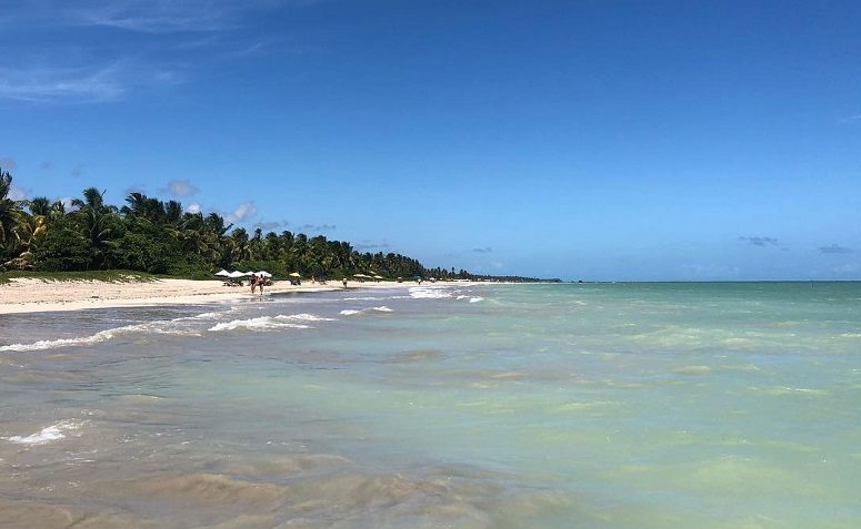 Praia do Toque: um guia completo para curtir esse paraíso em Alagoas