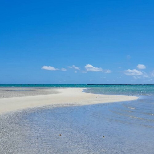 Praia do Toque: um guia completo para curtir esse paraíso em Alagoas