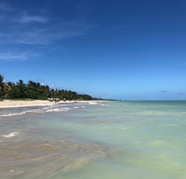 Praia do Toque: um guia completo para curtir esse paraíso em Alagoas