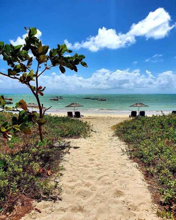 Praia do Toque: um guia completo para curtir esse paraíso em Alagoas