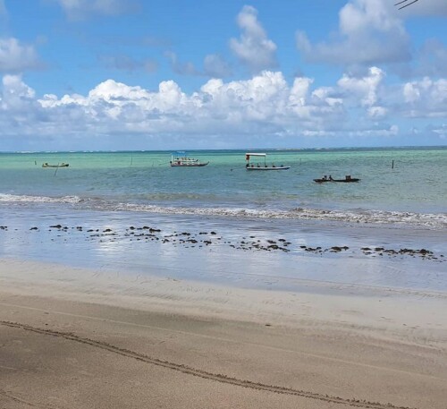 Praia do Toque: um guia completo para curtir esse paraíso em Alagoas
