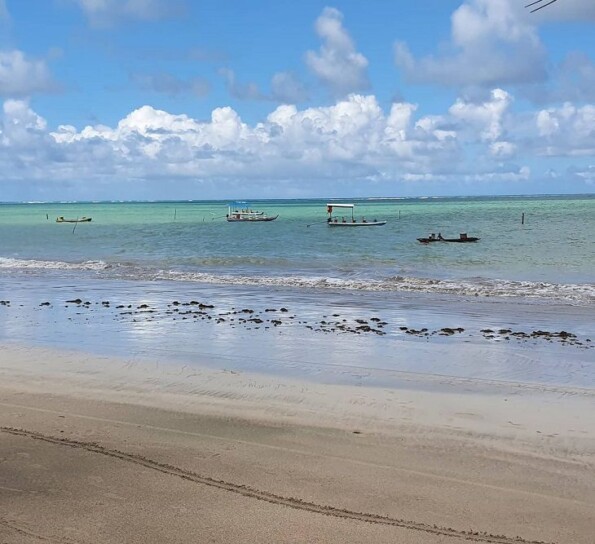 Praia do Toque: um guia completo para curtir esse paraíso em Alagoas
