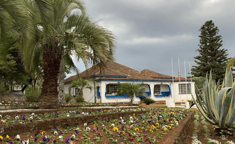 Fraiburgo (SC): como chegar, o que fazer, dicas e mais