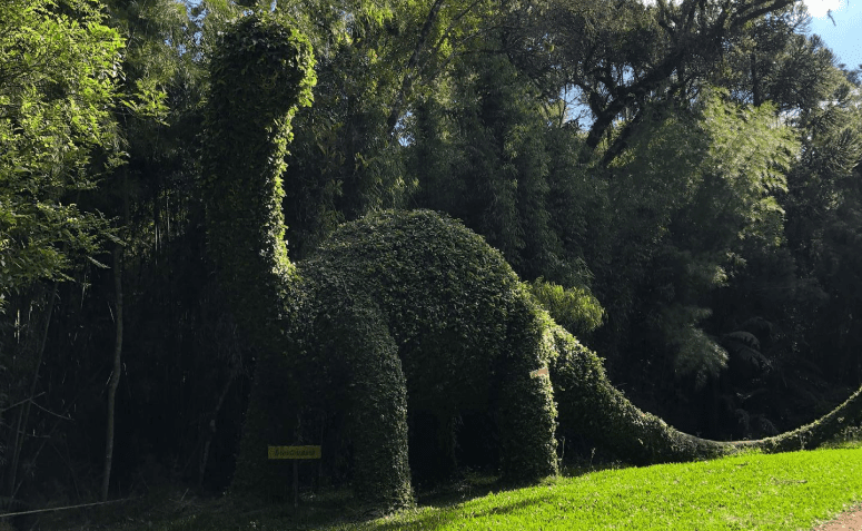 Fraiburgo (SC): como chegar, o que fazer, dicas e mais