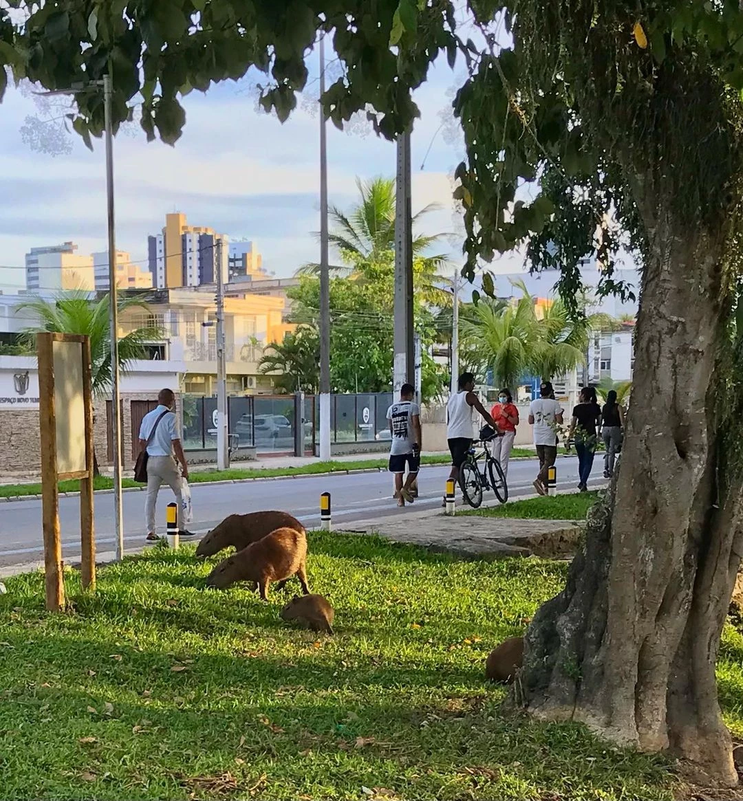 Itabuna: como chegar, o que fazer e dicas para aproveitar esse distino