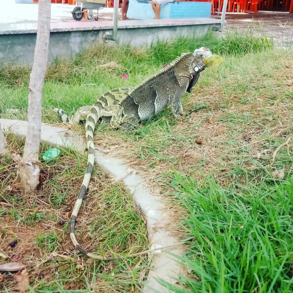 Caldas do Jorro: onde fica, dicas de atrações e hospedagem
