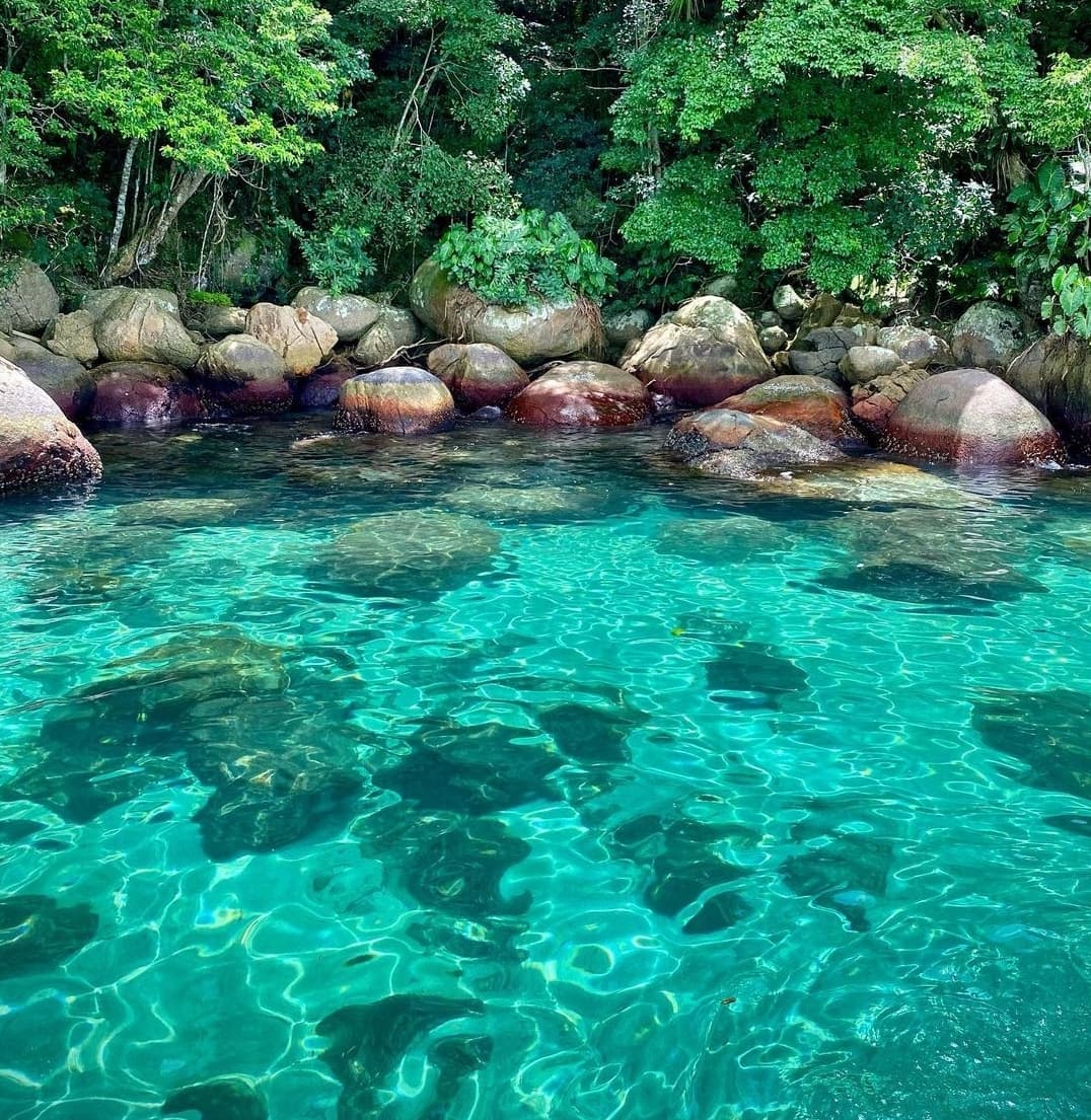 Ilha dos Cocos: guia completo com atividades e hospedagem para curtir