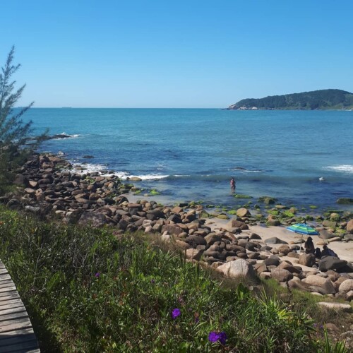 Piscina natural da Praia do Rosa: onde fica, o que fazer e dicas