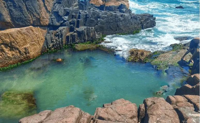 Piscina natural da Praia do Rosa: onde fica, o que fazer e dicas