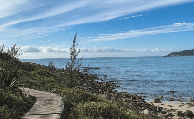Piscina natural da Praia do Rosa: onde fica, o que fazer e dicas