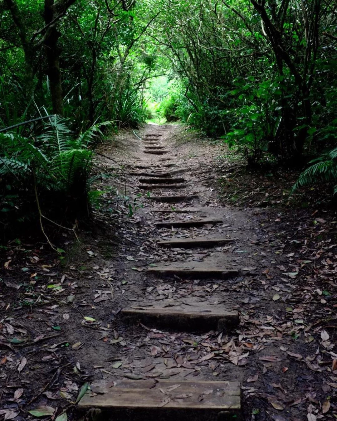 Piscina natural da Praia do Rosa: onde fica, o que fazer e dicas