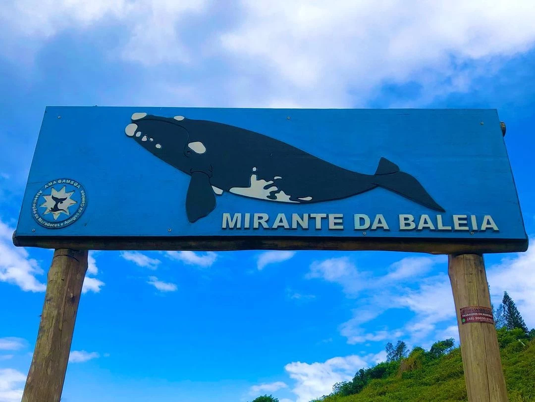 Praia da Gamboa: onde fica, o que fazer, restaurantes e pousadas