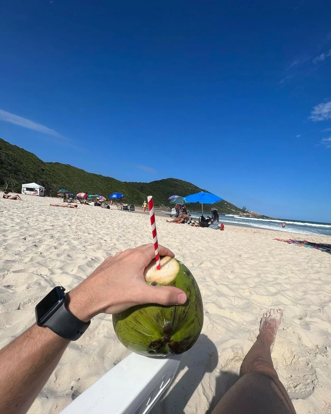 Imbituba: como chegar, praias, trilhas, dicas, o que fazer e hospedagens