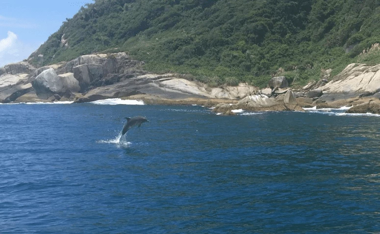 Praia da Gamboa: onde fica, o que fazer, restaurantes e pousadas