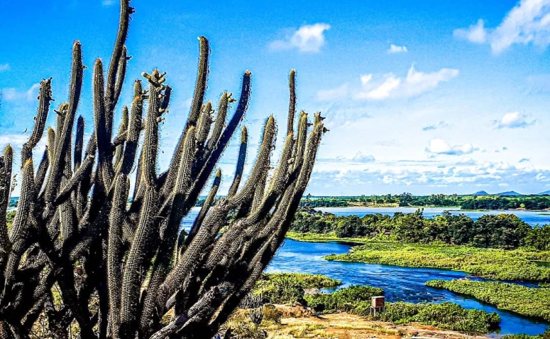 Petrolina: onde fica, como chegar e como curtir esse destino