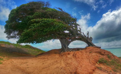 Parrachos de Maracajaú: como chegar, atividades, hospedagem e dicas