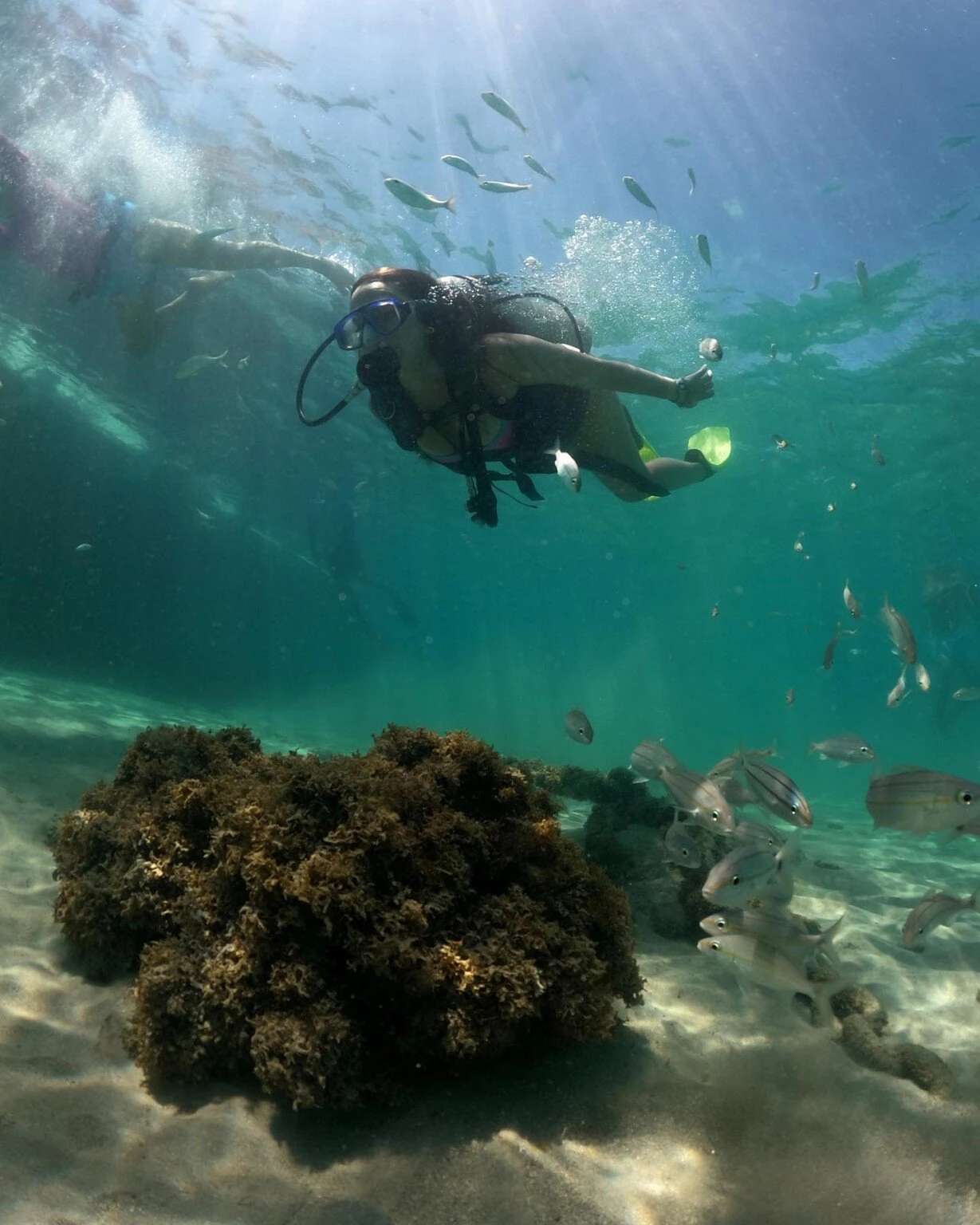Parrachos de Maracajaú: como chegar, atividades, hospedagem e dicas
