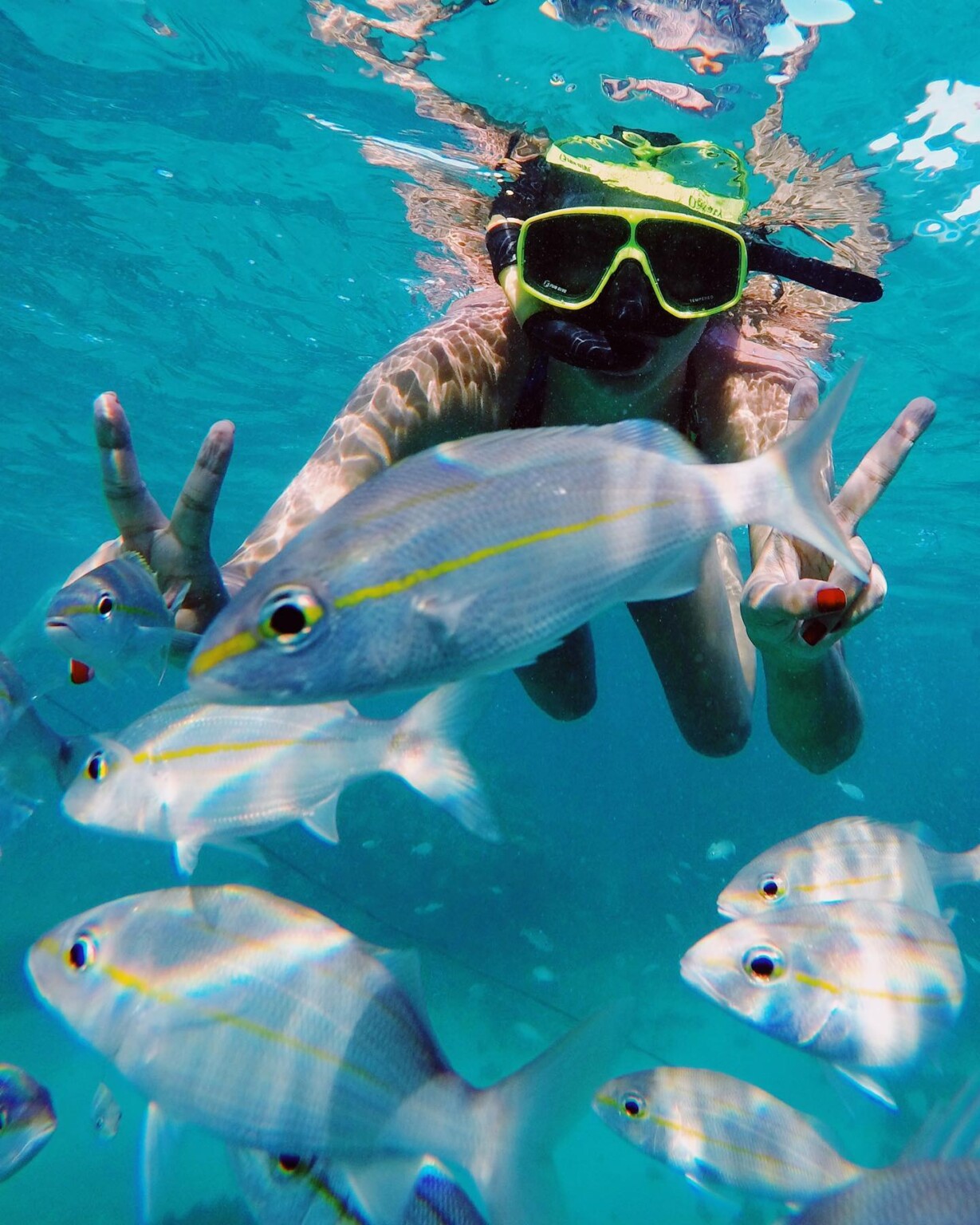 Parrachos de Maracajaú: como chegar, atividades, hospedagem e dicas