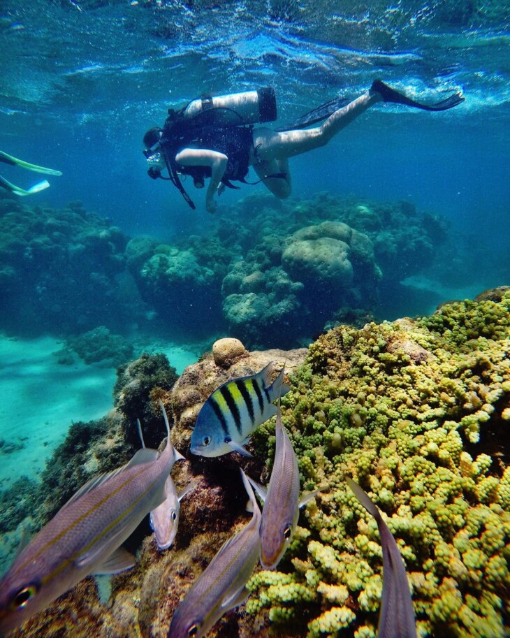 Parrachos de Maracajaú: como chegar, atividades, hospedagem e dicas