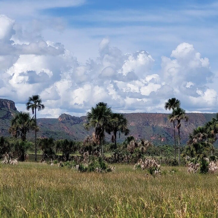 Terra Ronca: cavernas INCRÍVEIS te aguardam em Goiás