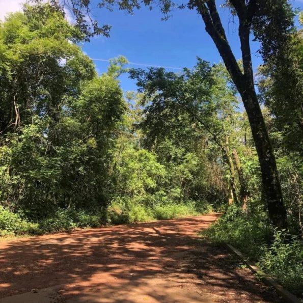 Caminho da Fé: o que é, mapa, como fazer, fotos e vídeos