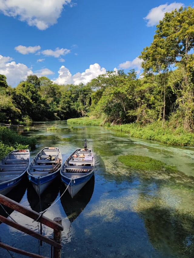 9 passeios e lugares incríveis para explorar em Bonito
