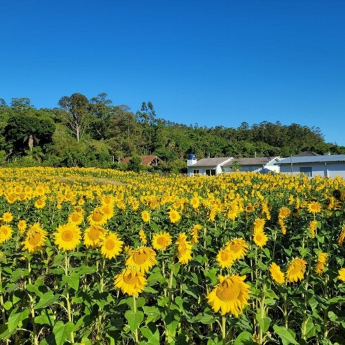 Maquiné: como ir, hospedagens, sugestões de atrações e fotos lindas