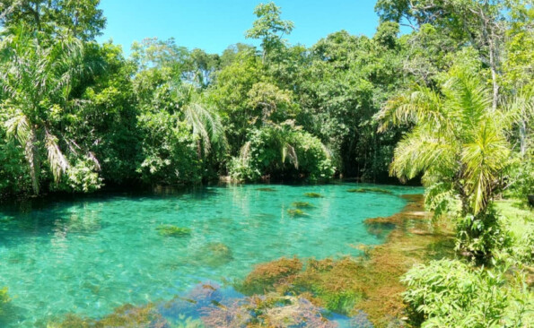 Bonito-MS: atrações, dicas, hospedagem e muito mais