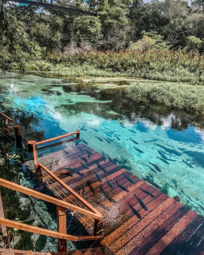 Bonito-MS: atrações, dicas, hospedagem e muito mais