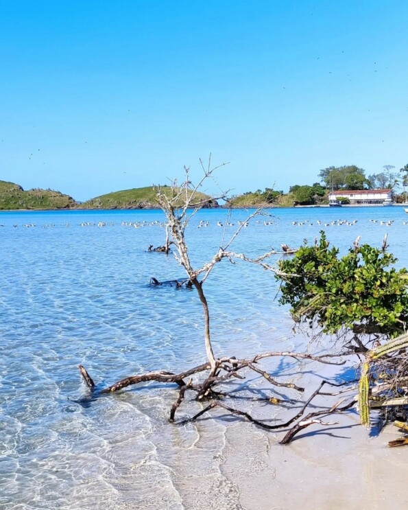Cabo Frio: onde fica, o que fazer, hospedagens, fotos e vídeos
