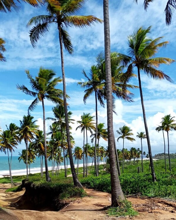 Pitimbu: um guia completo para curtir essa bela cidade paraibana