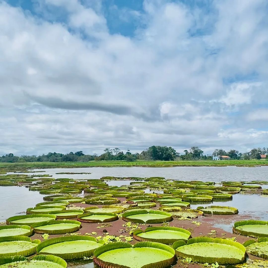 Alter do Chão (PA): os 10 melhores passeios em Santarém