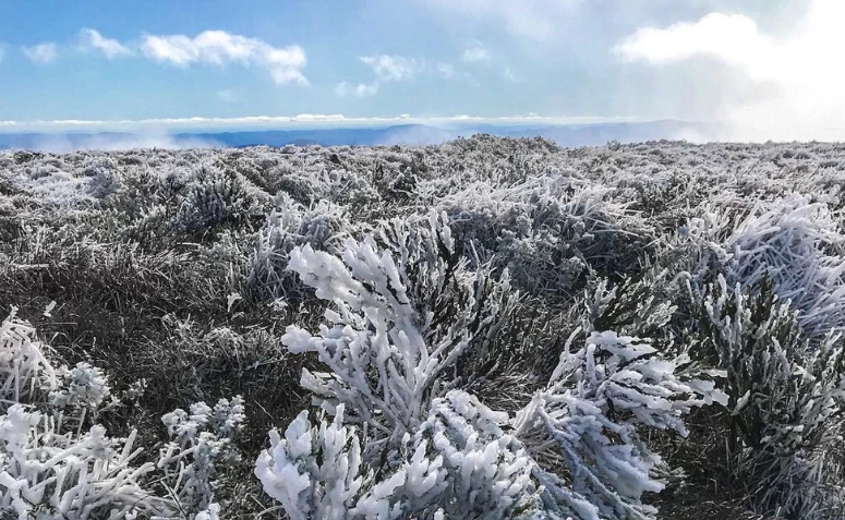 Neve no Brasil: 6 cidades onde você pode vivenciar essa experiência