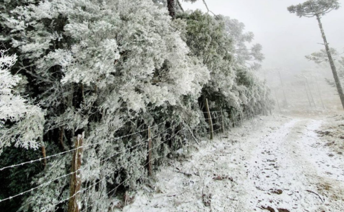 Neve no Brasil: 6 cidades onde você pode vivenciar essa experiência