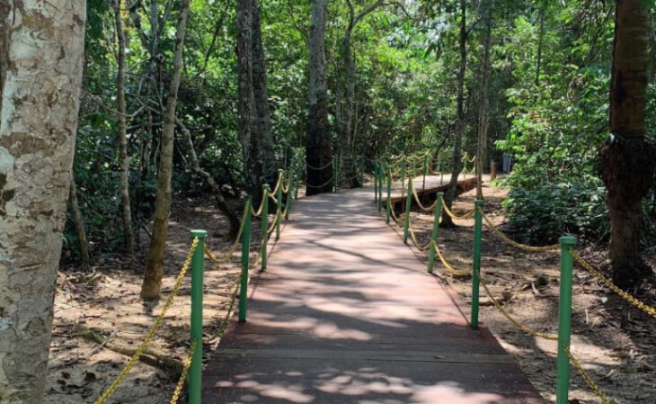 Rio Branco: onde fica, história local e o que fazer no destino