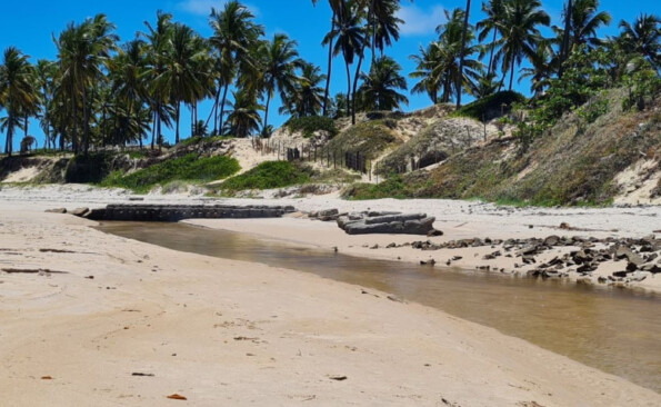 Coruripe: como chegar, principais atividades, dicas, hospedagens e fotos