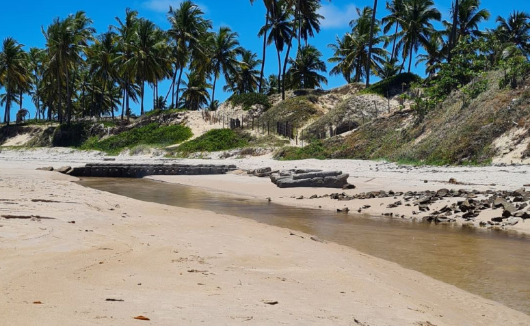 Coruripe: como chegar, principais atividades, dicas, hospedagens e fotos