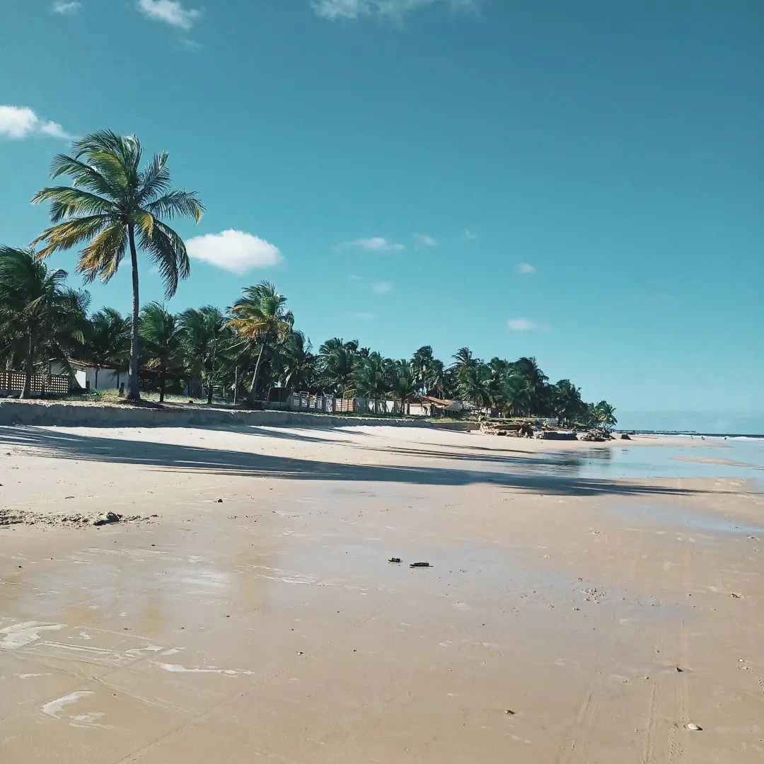 Coruripe: como chegar, principais atividades, dicas, hospedagens e fotos