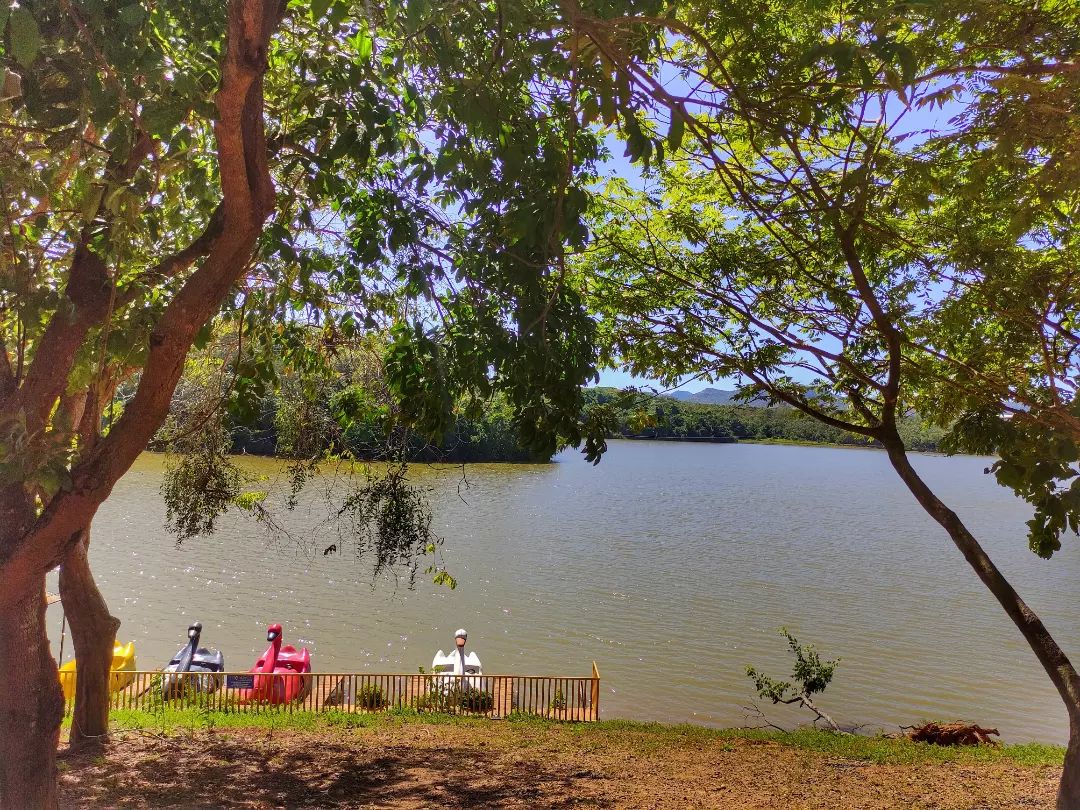 Palmas: como chegar, principais atividades e hospedagens