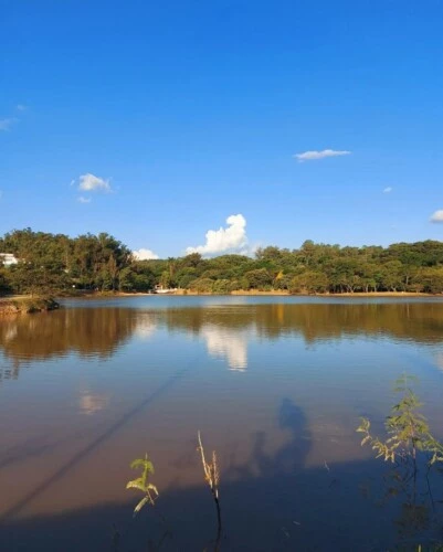 Vinhedo (SP): o que fazer e os 9 MELHORES passeios